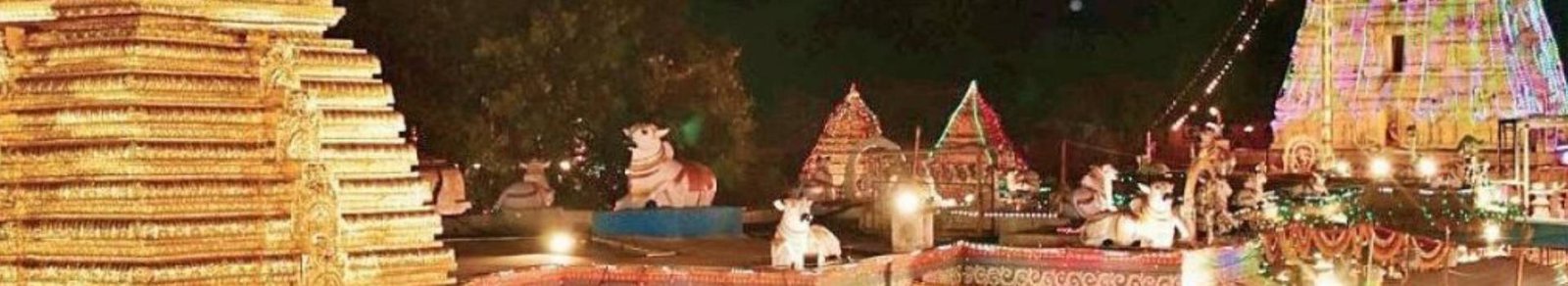 Pilgrim Tours – Vihar Travels